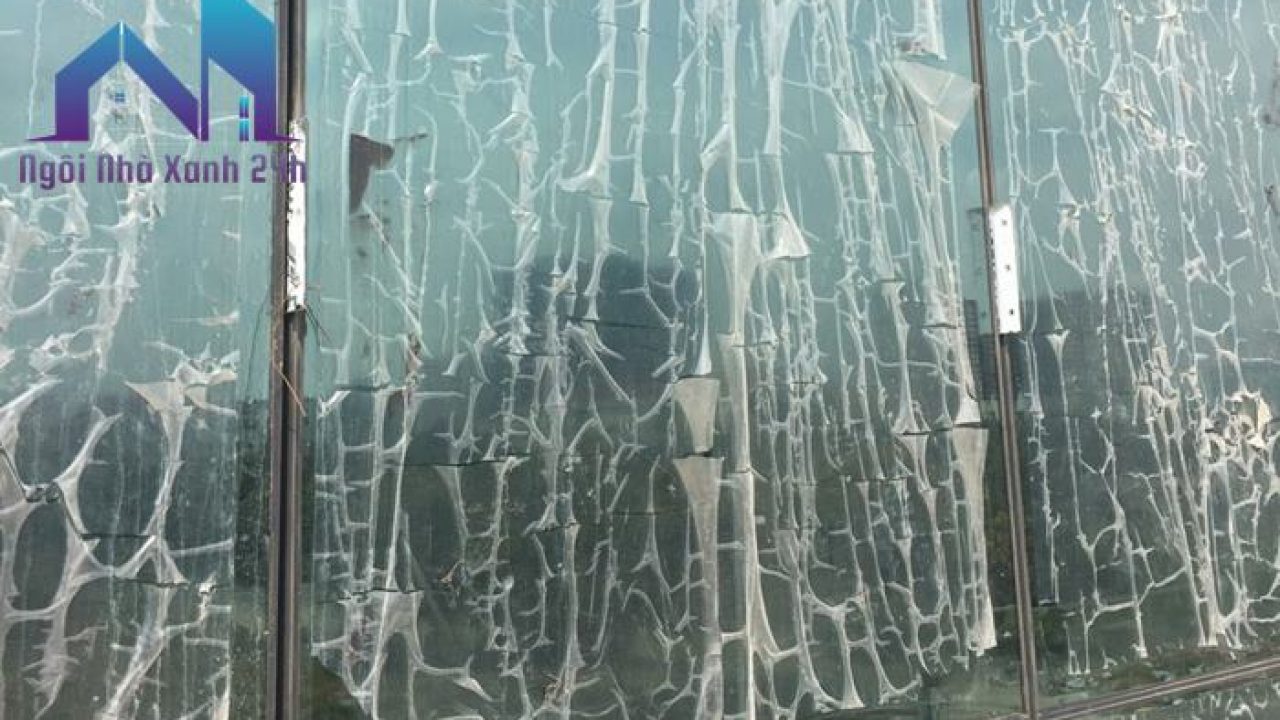 Top 10 cách chùi keo dán kính nhanh nhất